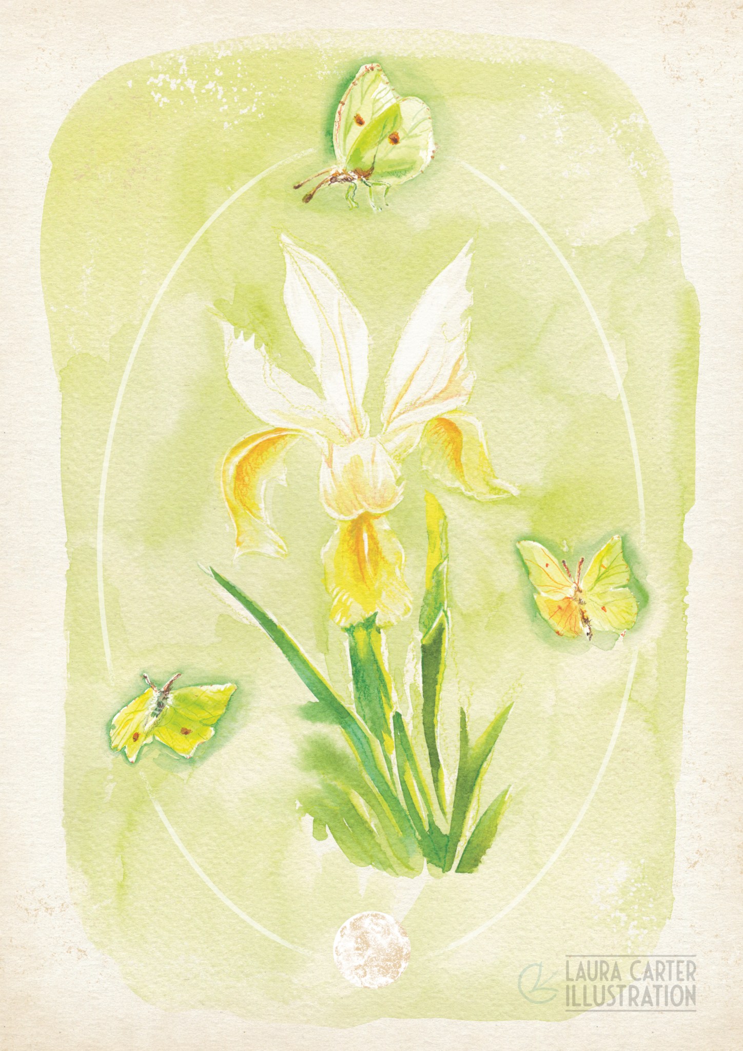 Illustrations – Laura Carter Illustration