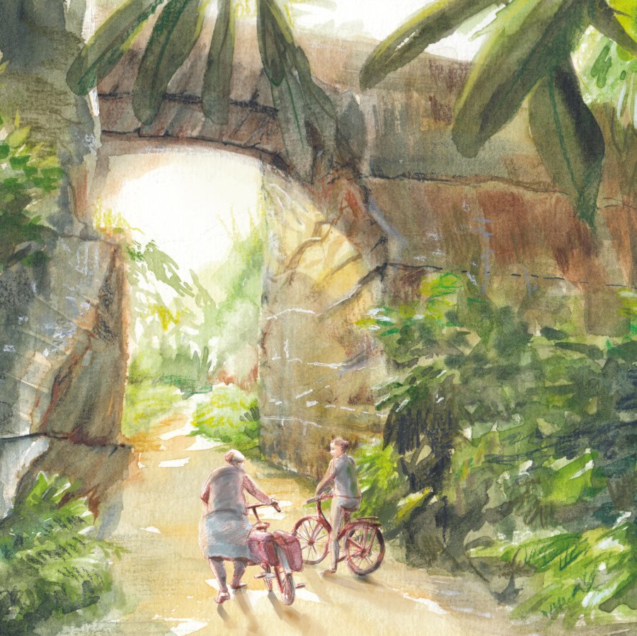 Illustrations – Laura Carter Illustration